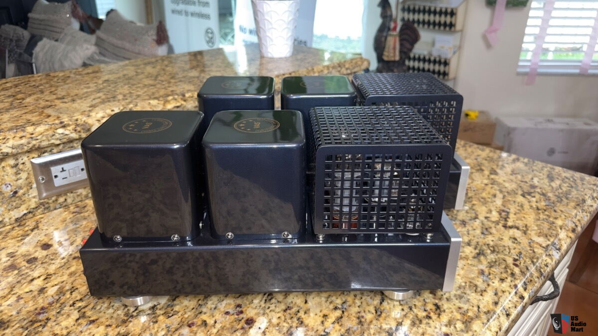 VAS Citation 2 Tube Monoblock Amplifiers Photo #5666178 - US Audio Mart