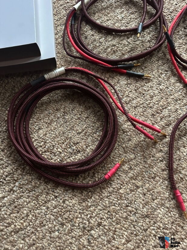 Black Cat Cable 3232 Bi Wired Speaker Cables Photo #5671649 - US Audio Mart