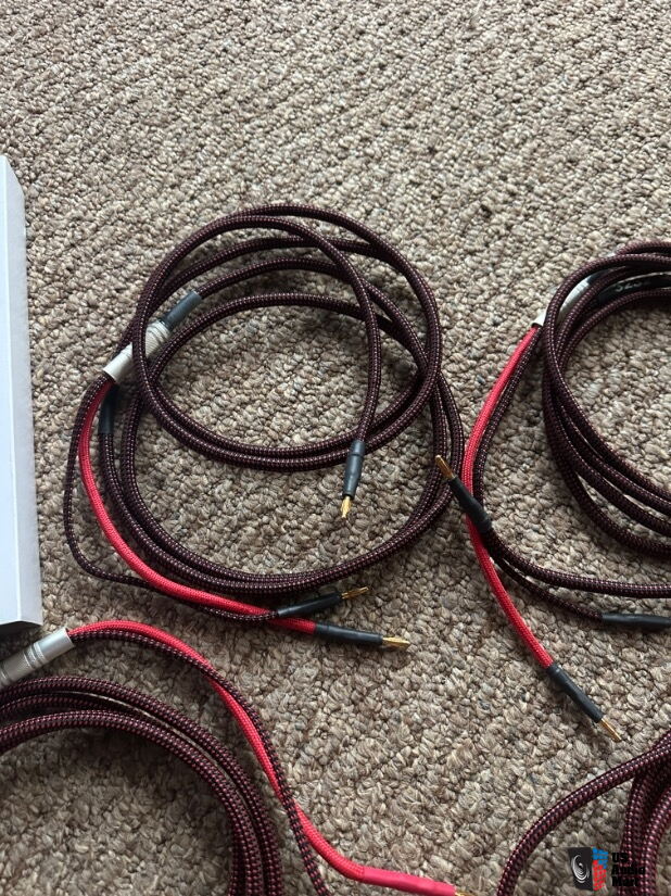 Black Cat Cable 3232 Bi Wired Speaker Cables Photo #5671649 - US Audio Mart