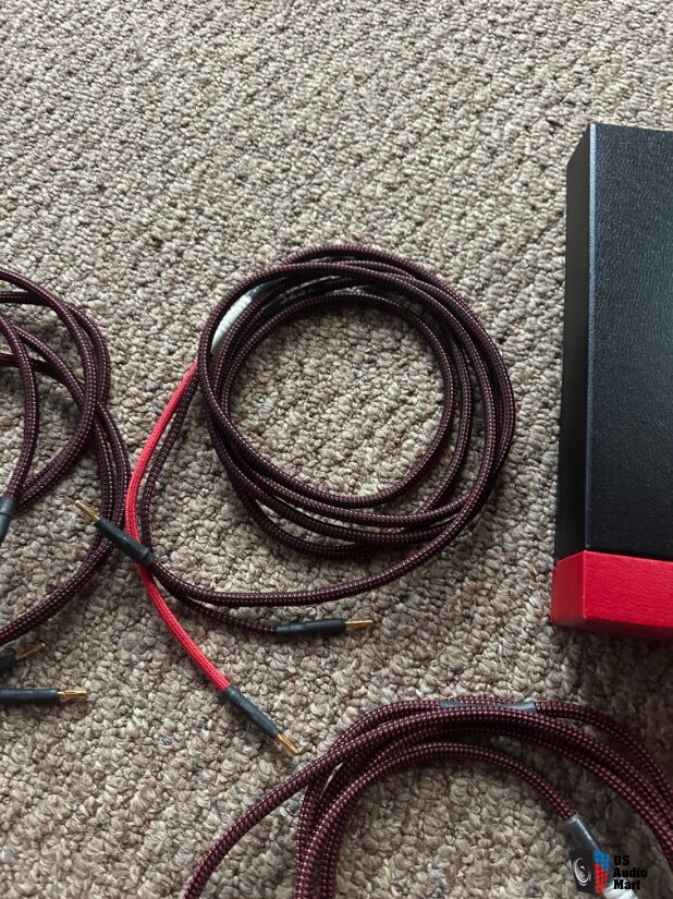 Black Cat Cable 3232 Bi Wired Speaker Cables Photo #5671649 - US Audio Mart