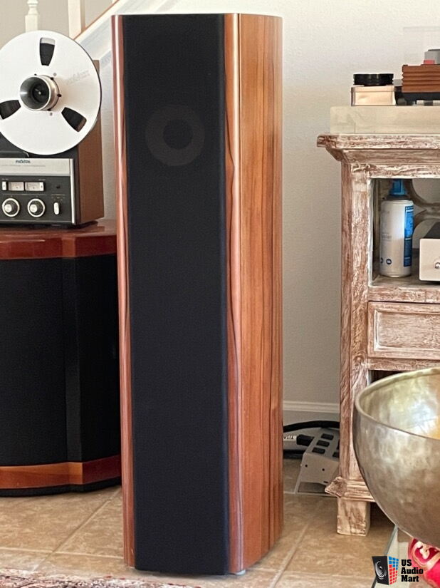 Horning Hybrid Aristotle Photo #5676270 - US Audio Mart