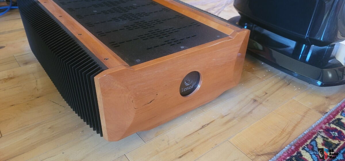 Tenor HP300 Monoblocks beautiful looks and amazing musicality and power ...