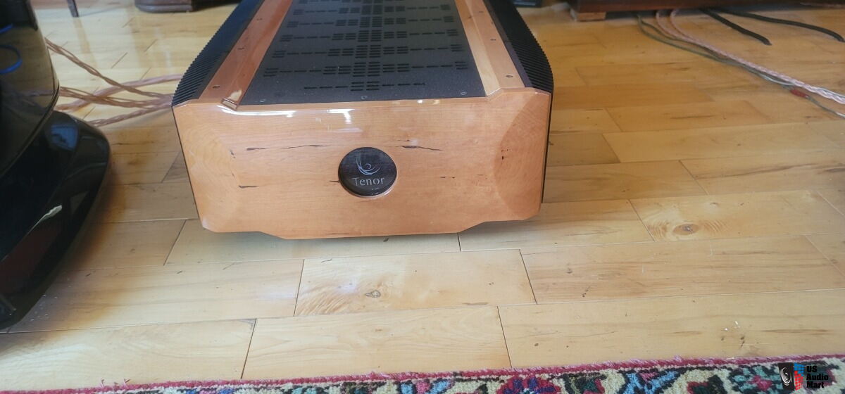 Tenor HP300 Monoblocks beautiful looks and amazing musicality and power ...