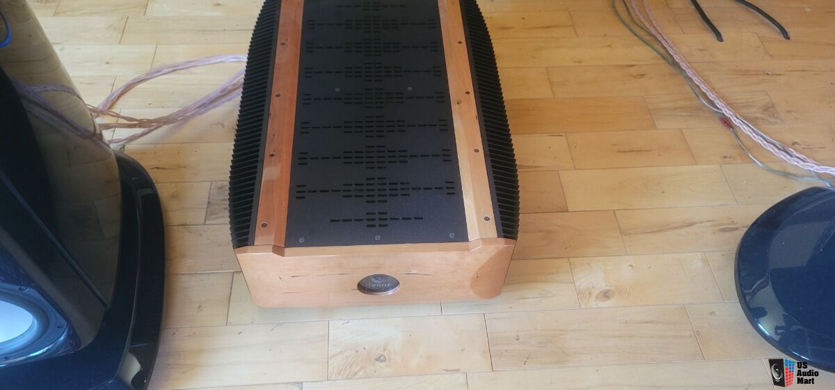Tenor HP300 Monoblocks beautiful looks and amazing musicality and power ...