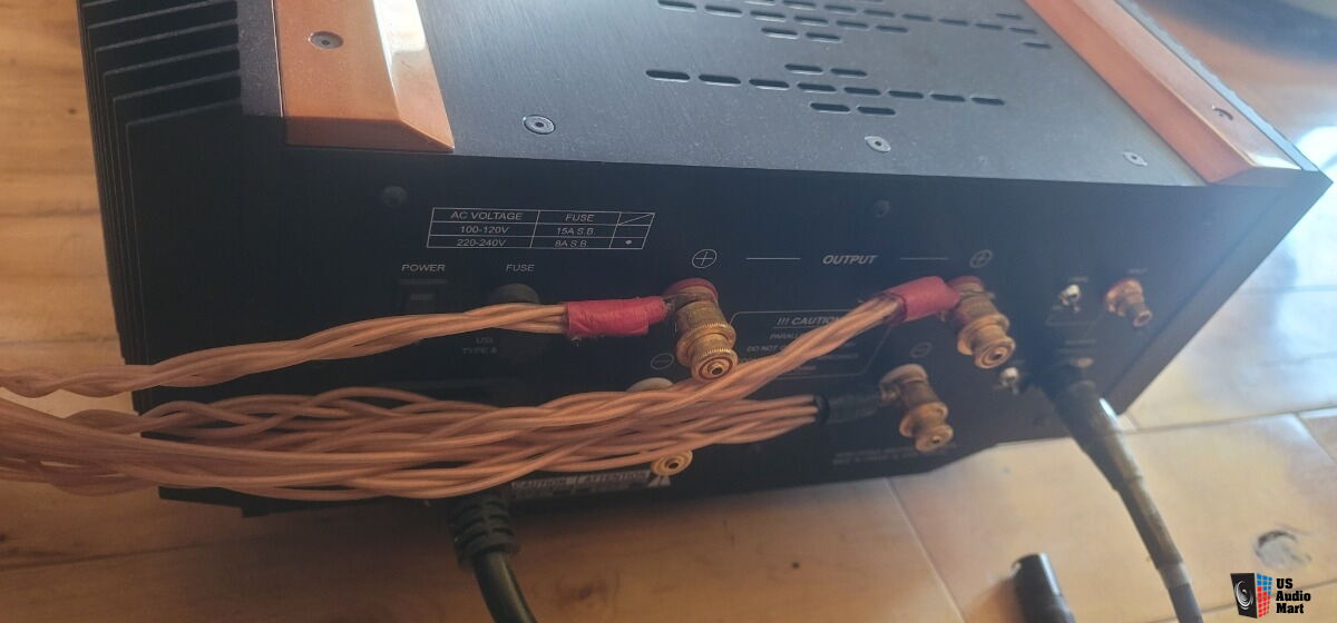 Tenor HP300 Monoblocks beautiful looks and amazing musicality and power ...