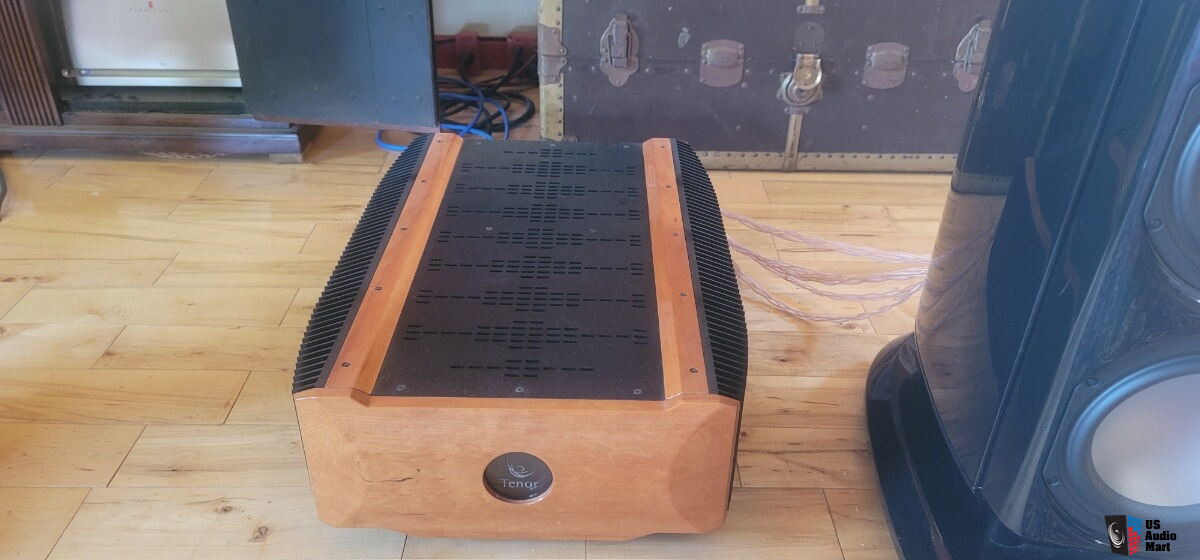 Tenor HP300 Monoblocks beautiful looks and amazing musicality and power ...