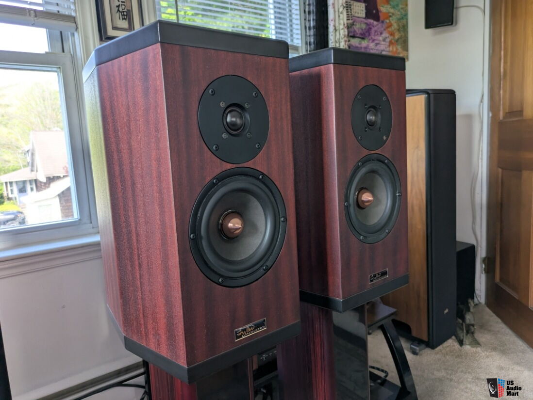 Tyler Acoustics D4 large Monitor Ribbon Mahogany 2400.00 new Nice ...