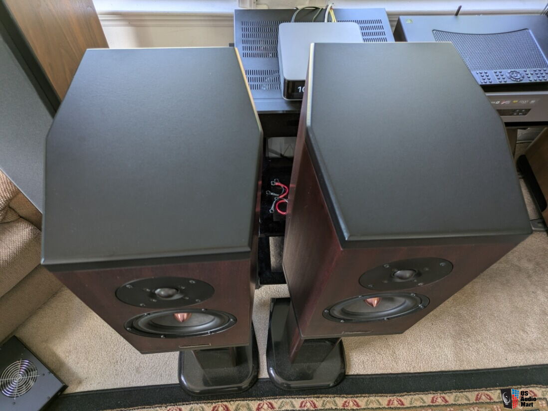 Tyler Acoustics D4 large Monitor Ribbon Mahogany 2400.00 new Nice ...