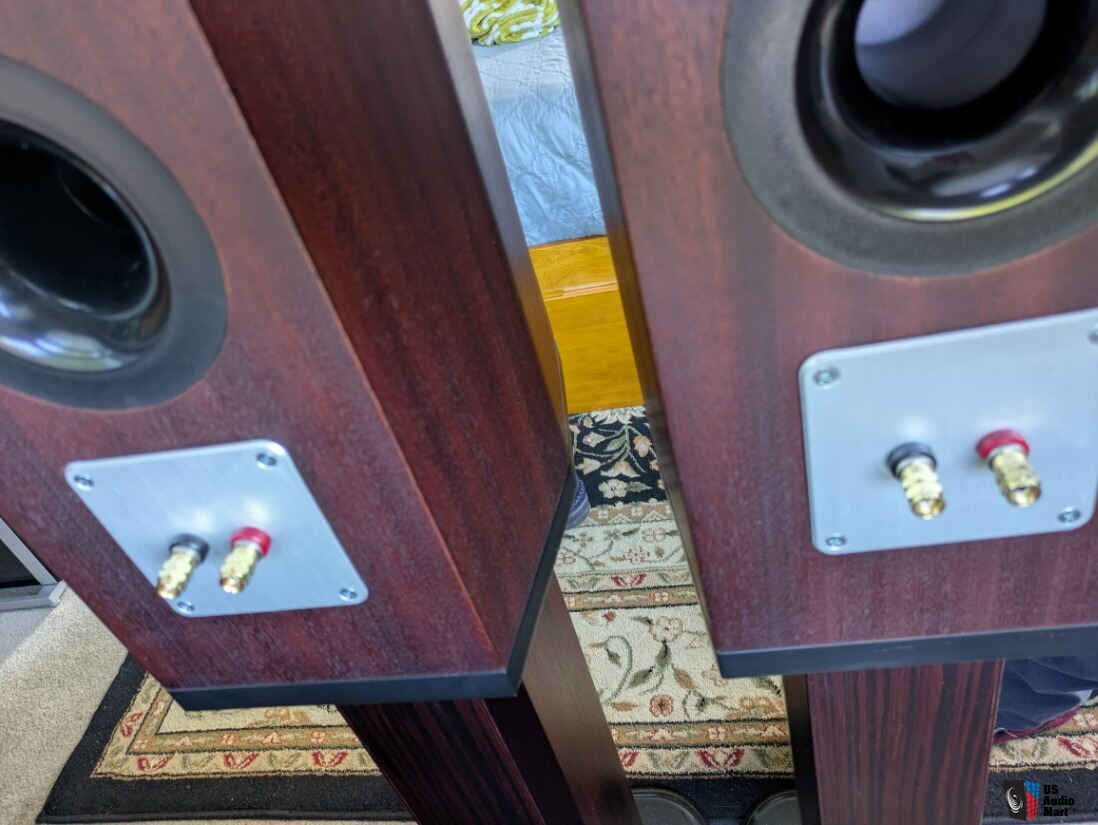 Tyler Acoustics D4 large Monitor Ribbon Mahogany 2400.00 new Nice ...