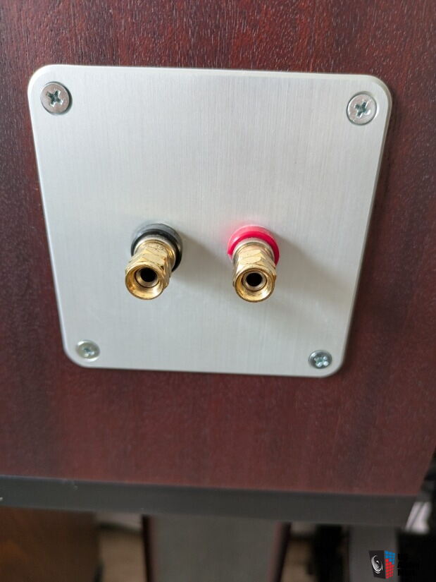 Tyler Acoustics D4 large Monitor Ribbon Mahogany 2400.00 new Nice ...