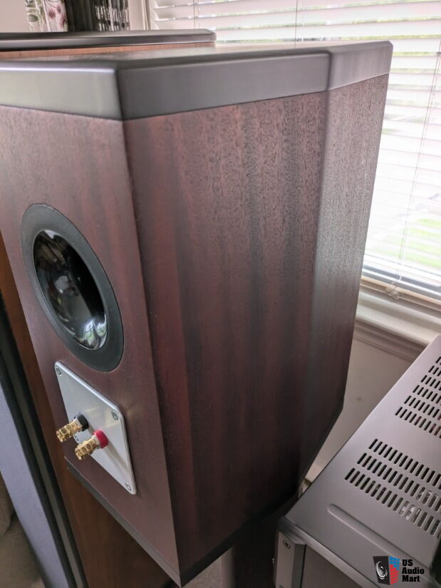Tyler Acoustics D4 large Monitor Ribbon Mahogany 2400.00 new Nice ...