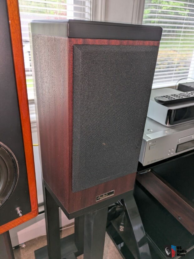 Tyler Acoustics D4 large Monitor Ribbon Mahogany 2400.00 new Nice ...