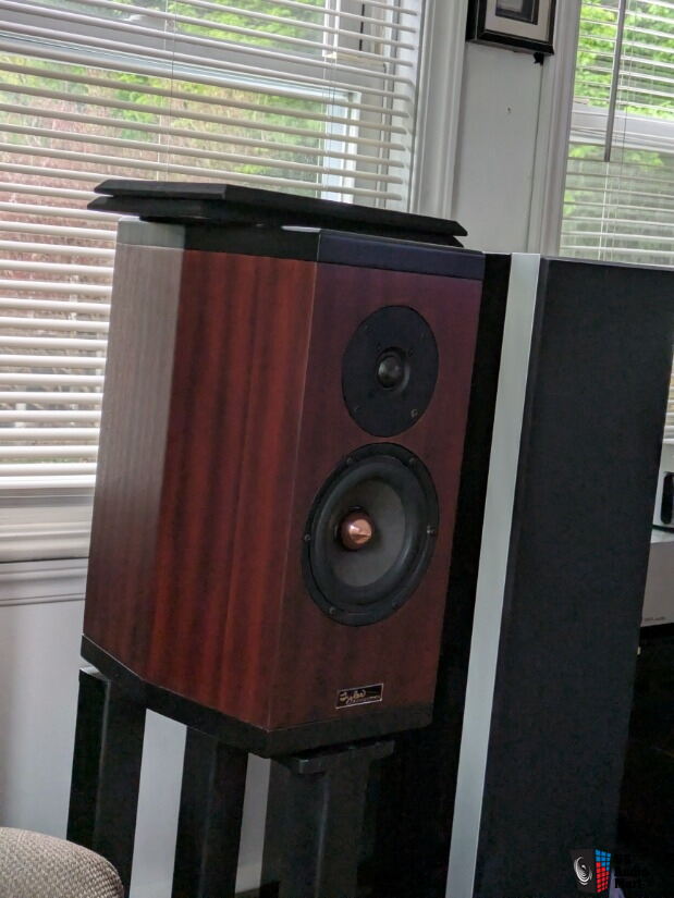 Tyler Acoustics D4 large Monitor Ribbon Mahogany 2400.00 new Nice ...