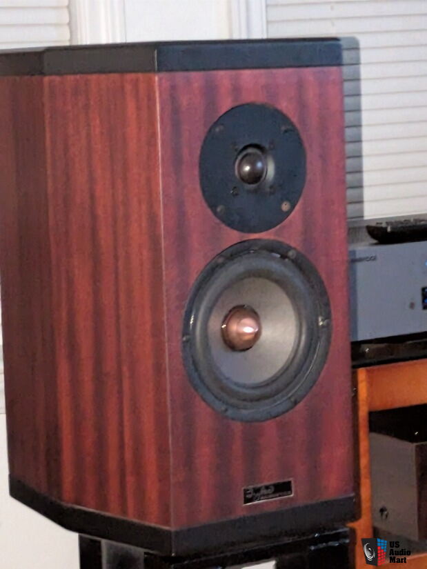 Tyler Acoustics D4 large Monitor Ribbon Mahogany 2400.00 new Nice ...