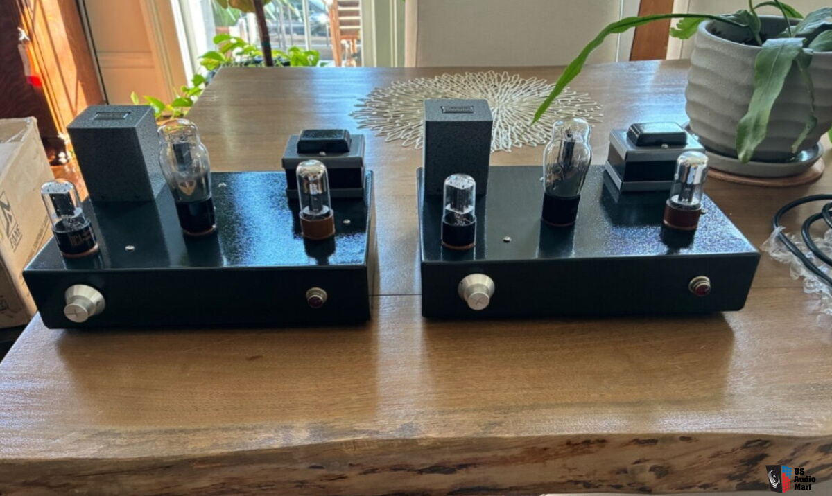 Alan Eaton 45 mono amps with Gain Controls For Sale - US Audio Mart