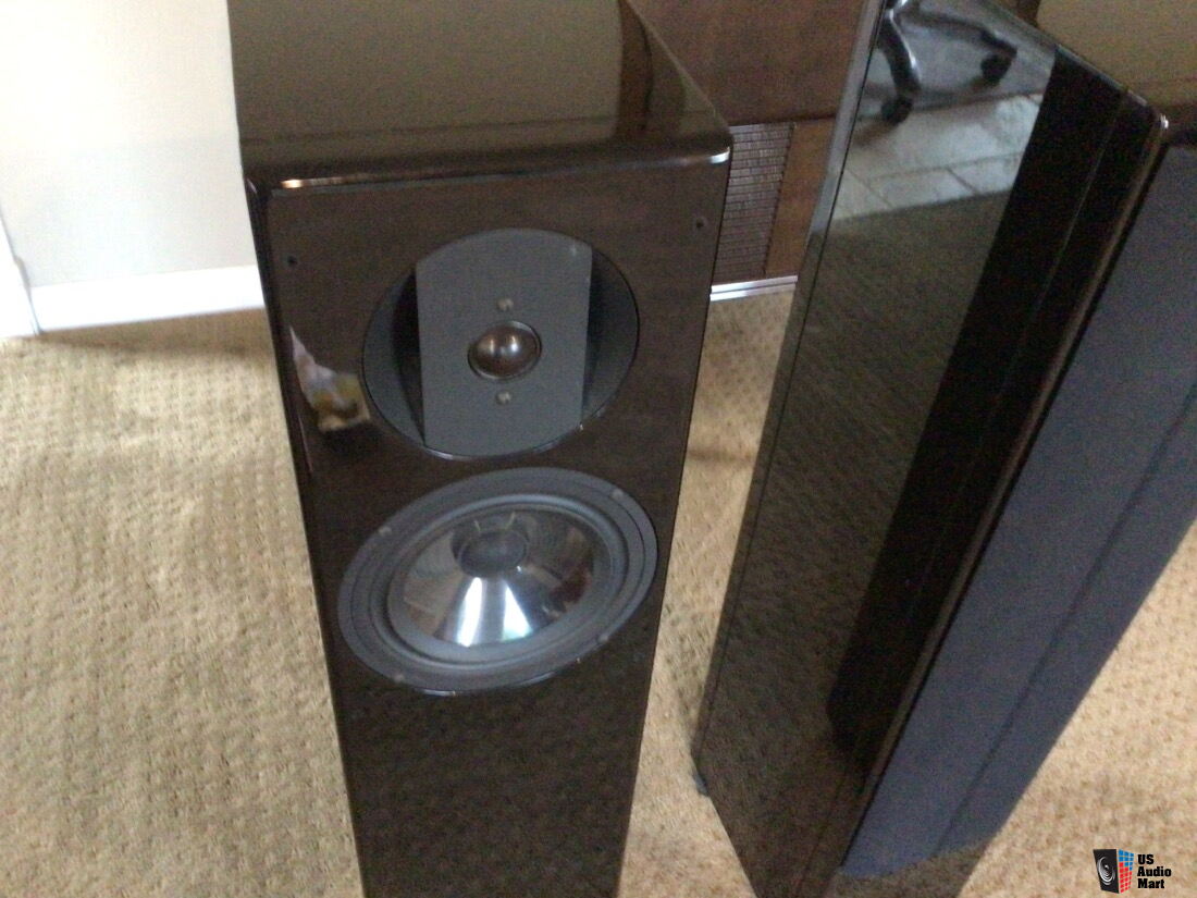 Vienna Acoustics Bach Grand Pair Photo #5692611 - US Audio Mart