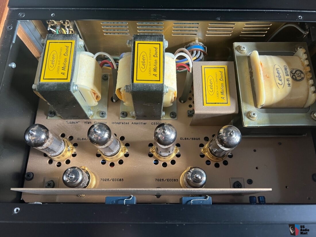 Leben CS-300XS with Upgrades & Free Shipping Photo #5697245 - US Audio Mart