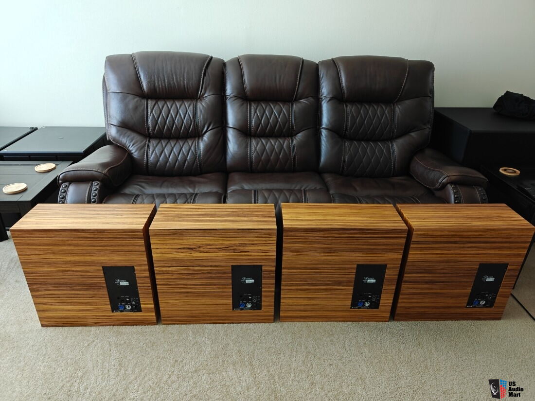 Danley SH100/ SM100 Full Range Conical Speakers POWERED TIGERWOOD RARE ...