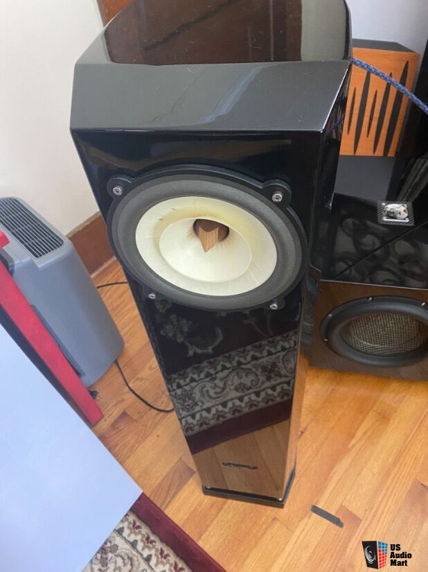 Voxativ Zeth - Local VA Pickup Photo #5702610 - Canuck Audio Mart