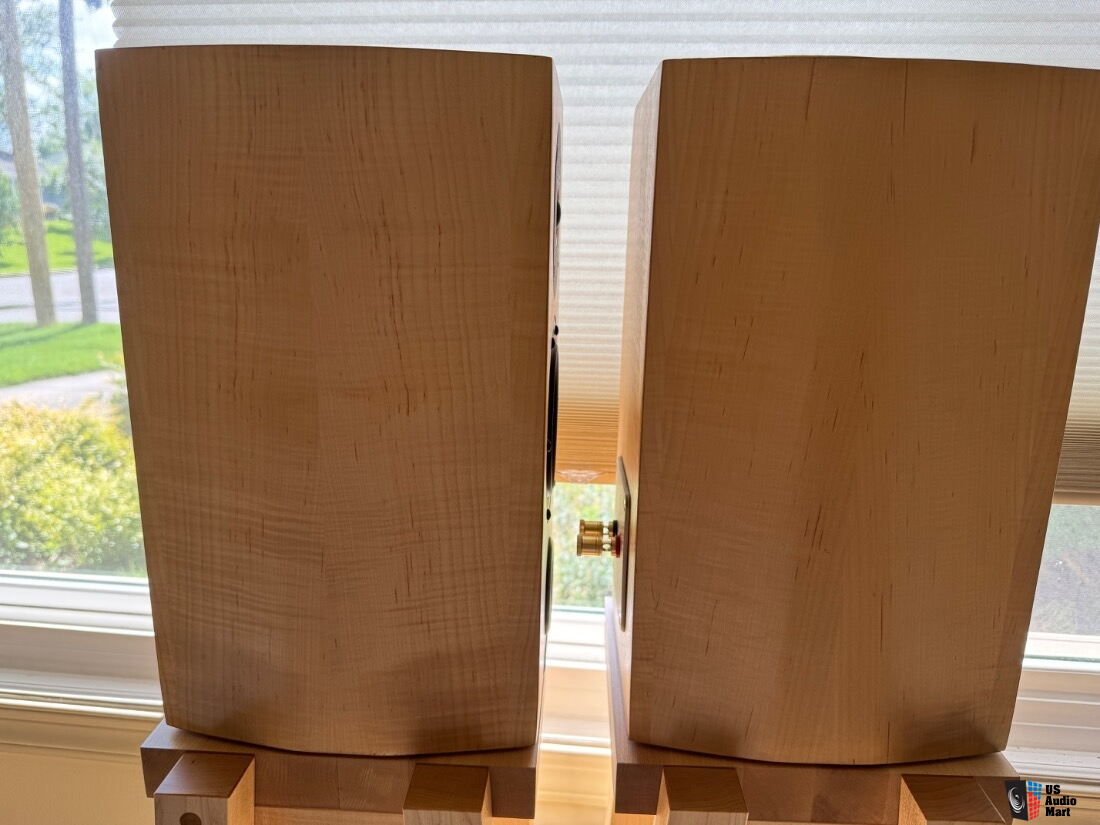 Tyler Acoustics Taylo Mini Reference Monitors - Stunning Pair Photo ...