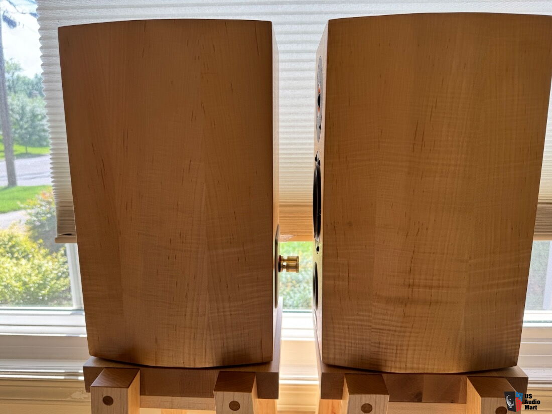 Tyler Acoustics Taylo Mini Reference Monitors - Stunning Pair Photo ...