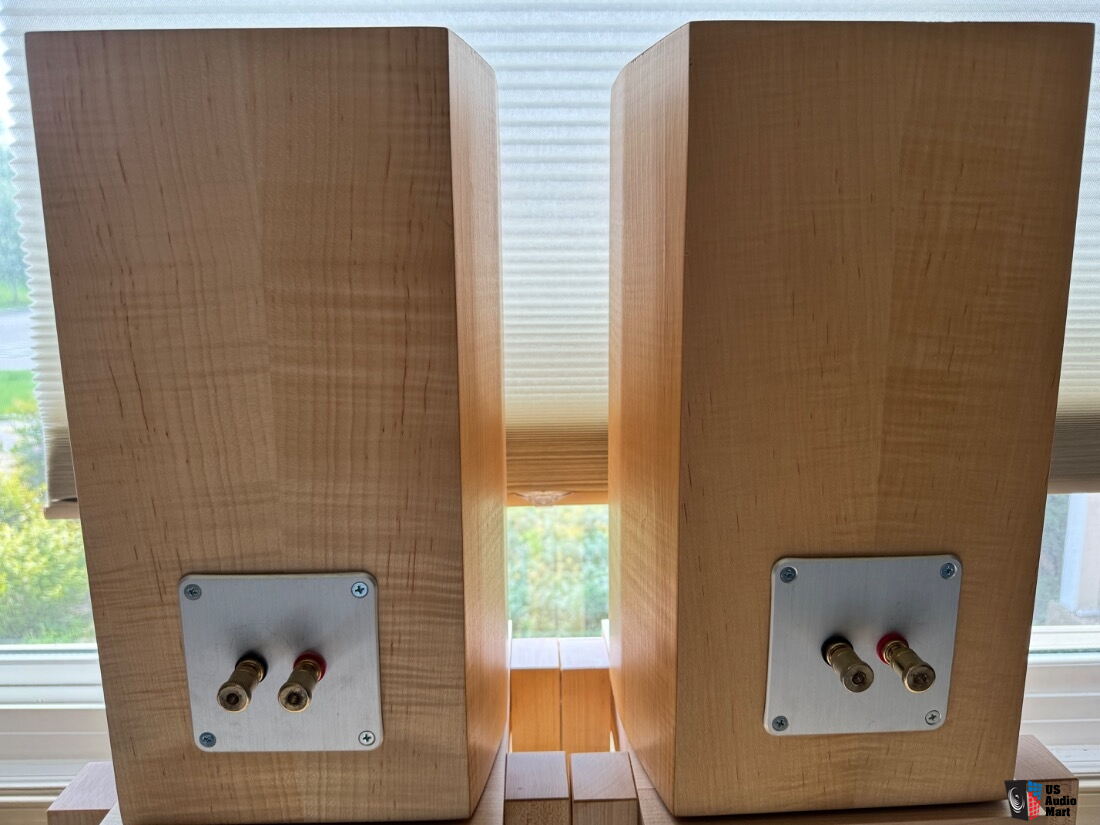 Tyler Acoustics Taylo Mini Reference Monitors - Stunning Pair Photo ...