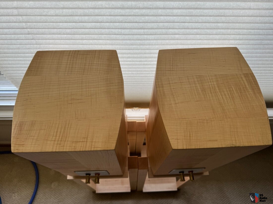 Tyler Acoustics Taylo Mini Reference Monitors - Stunning Pair Photo ...