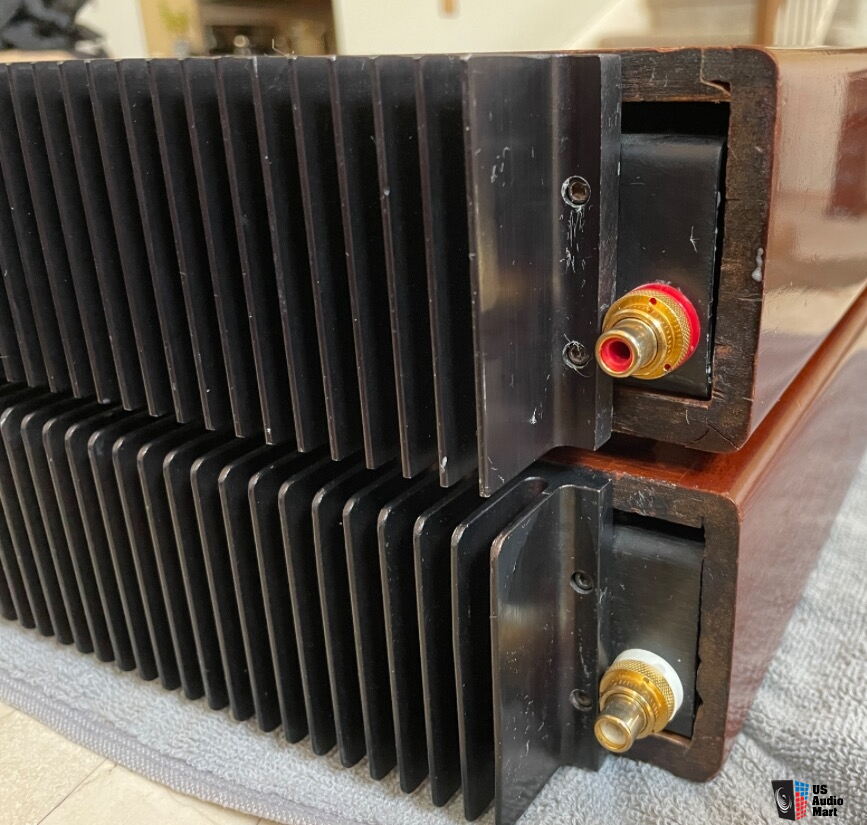 Meitner MTR 100 mono amp pair Photo #5724330 - US Audio Mart