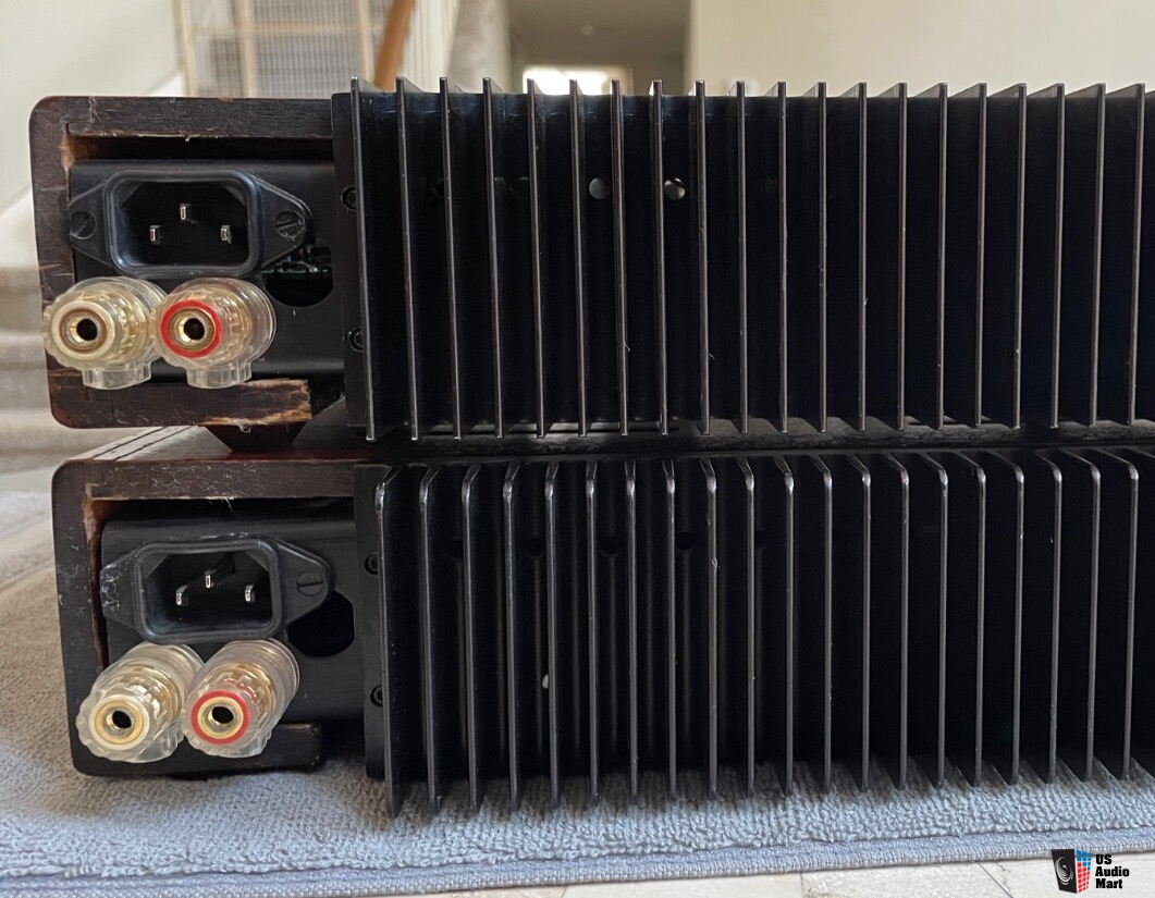 Meitner MTR 100 mono amp pair Photo #5724335 - US Audio Mart