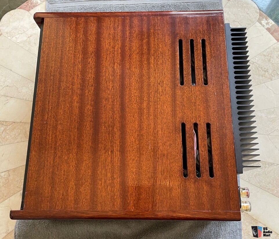 Meitner MTR 100 mono amp pair Photo #5724336 - US Audio Mart