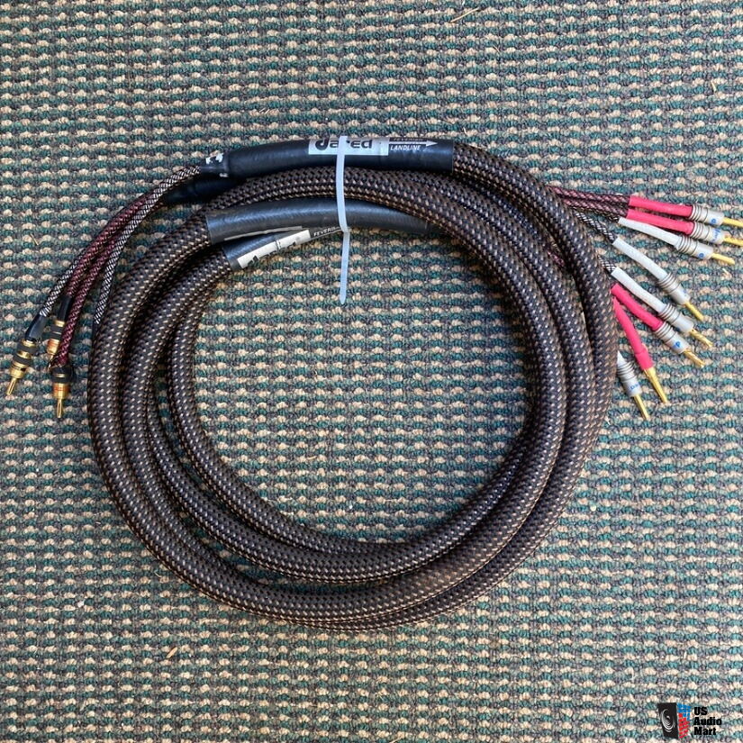 Xindak & Dared Speaker Cable Photo #5730812 - US Audio Mart