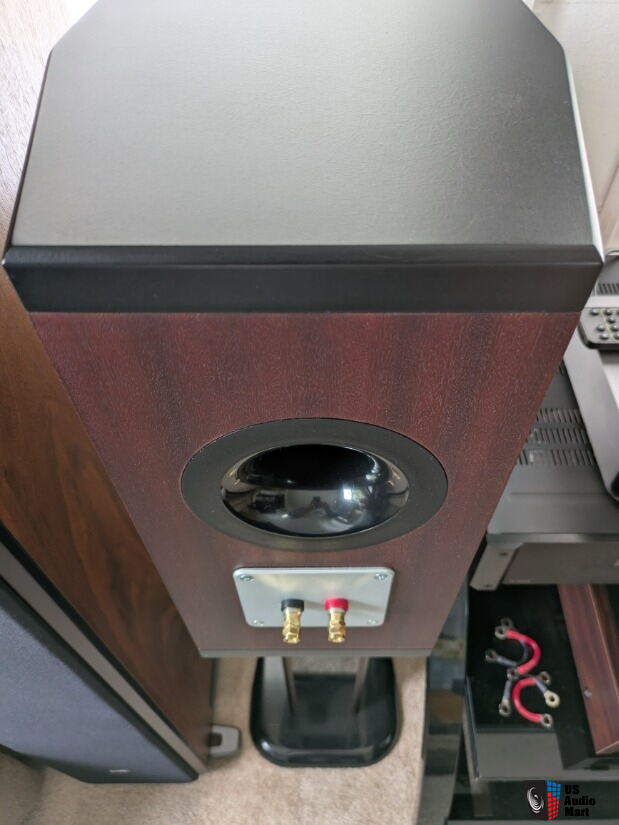 Tyler Acoustics D4 Monitor Beautiful speaker in ribbon mahogany Photo ...
