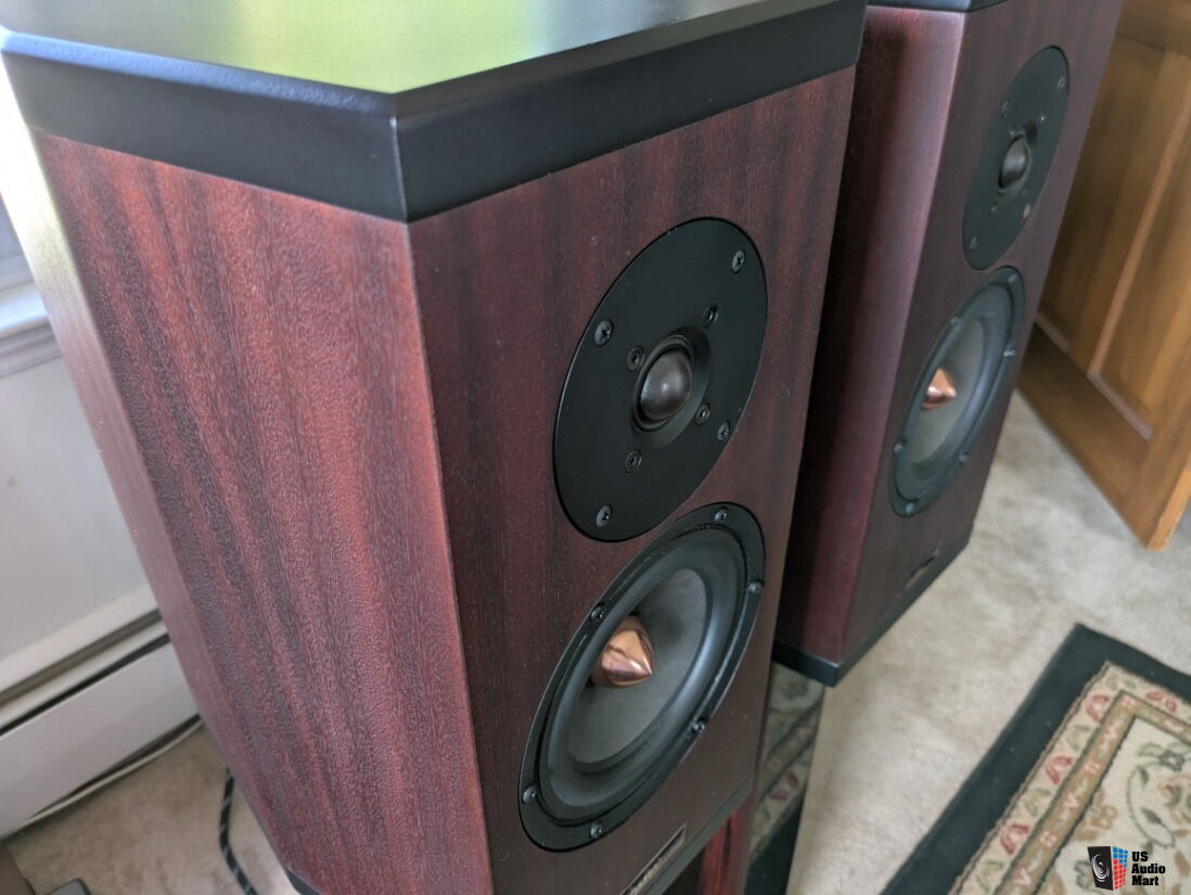 Tyler Acoustics D4 Monitor Beautiful speaker in ribbon mahogany Photo ...