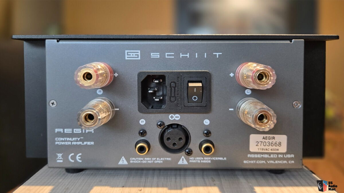 Schiit Aegir Class A Continuity Amplifier Photo #5743472 - US Audio Mart