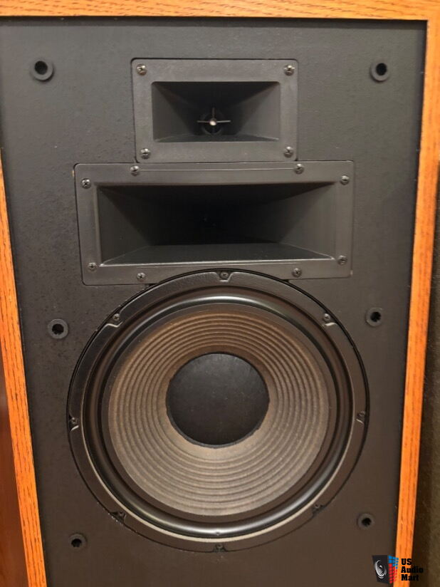 Klipsch Forte I with ALK crossover and Crites Titanium tweeters Photo ...