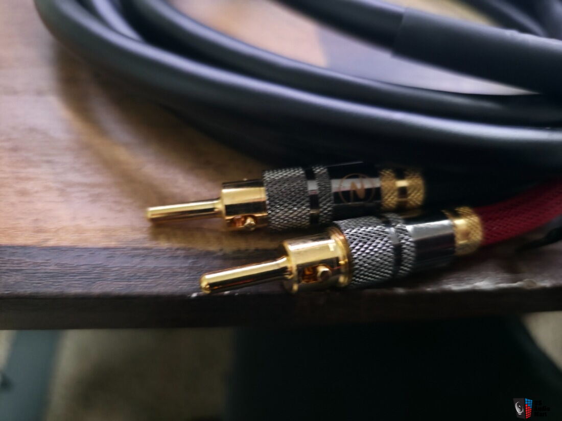 Benchmark Speaker Cables NL2 to Banana 10 feet Photo #5773956 - US ...