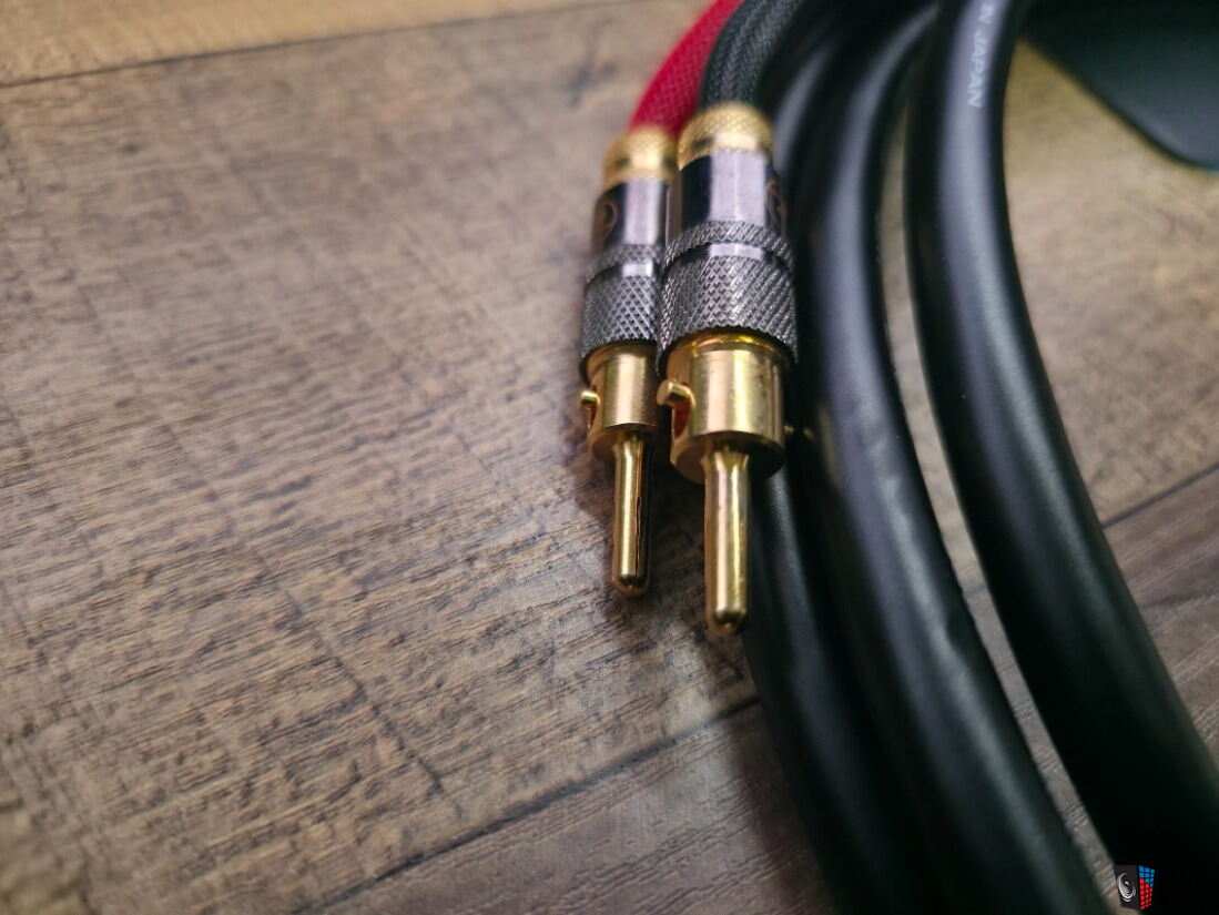 Benchmark Speaker Cables NL2 to Banana 10 feet Photo #5773956 - US ...
