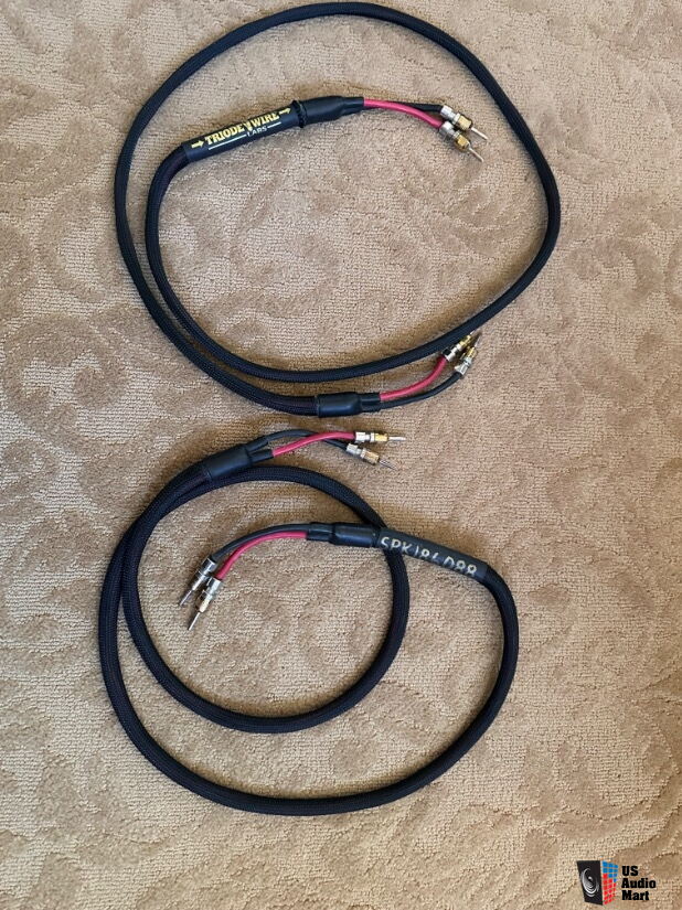 Pair of 6 foot Triode Wire Labs Speaker Cables For Sale - US Audio Mart