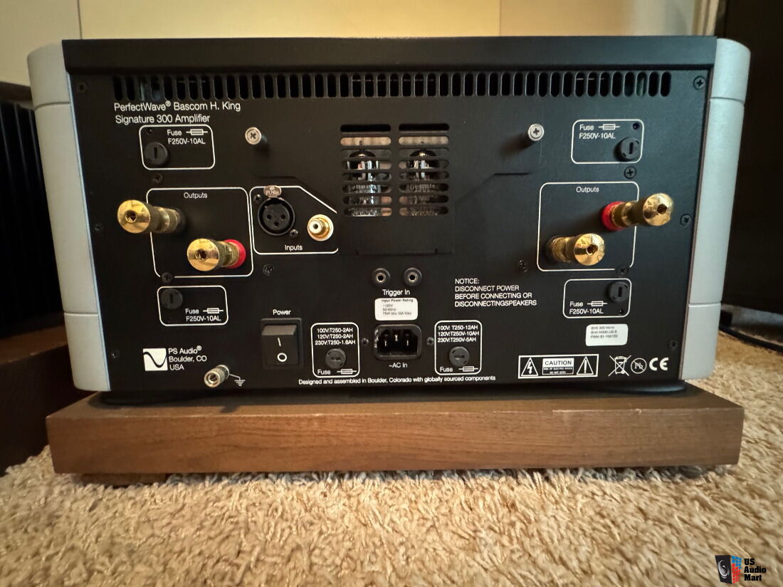 PS Audio BHK Mono 300 Power Amplifiers Photo #5782329 - US Audio Mart