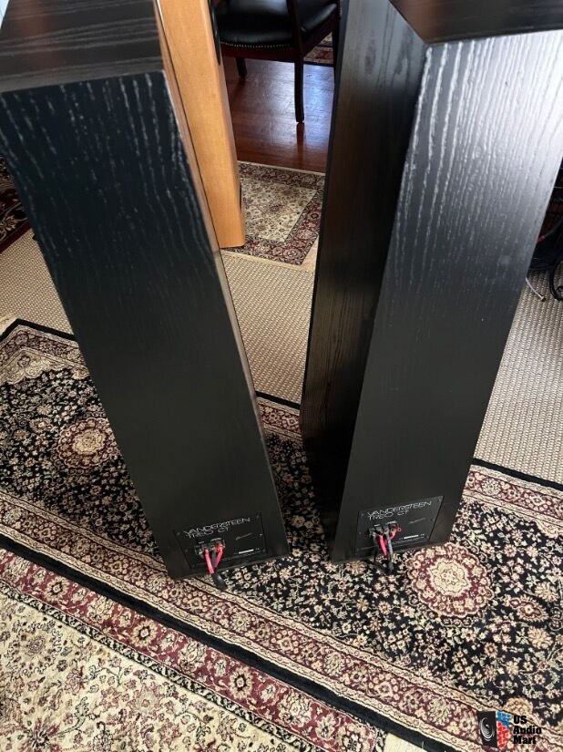 Vandersteen Treo CT, in black oak Photo #5784123 - US Audio Mart