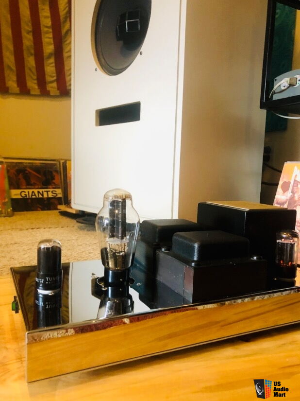 Golden Tube Audio GTA SE300B MONO amplifier pair Photo #5785429 - US ...