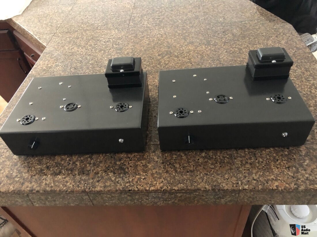 Alan Eaton 45 Tube Monoblocks Photo #5787385 - US Audio Mart