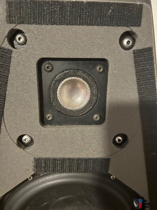 Wilson puppy 5.1 Photo #5790164 - US Audio Mart