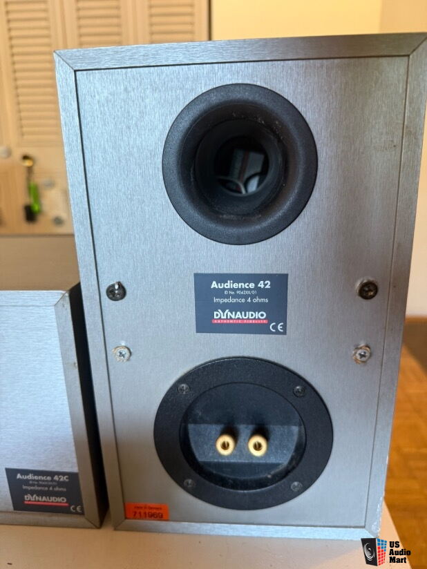 Dynaudio Audience 42 Speakers Photo #5801386 - US Audio Mart