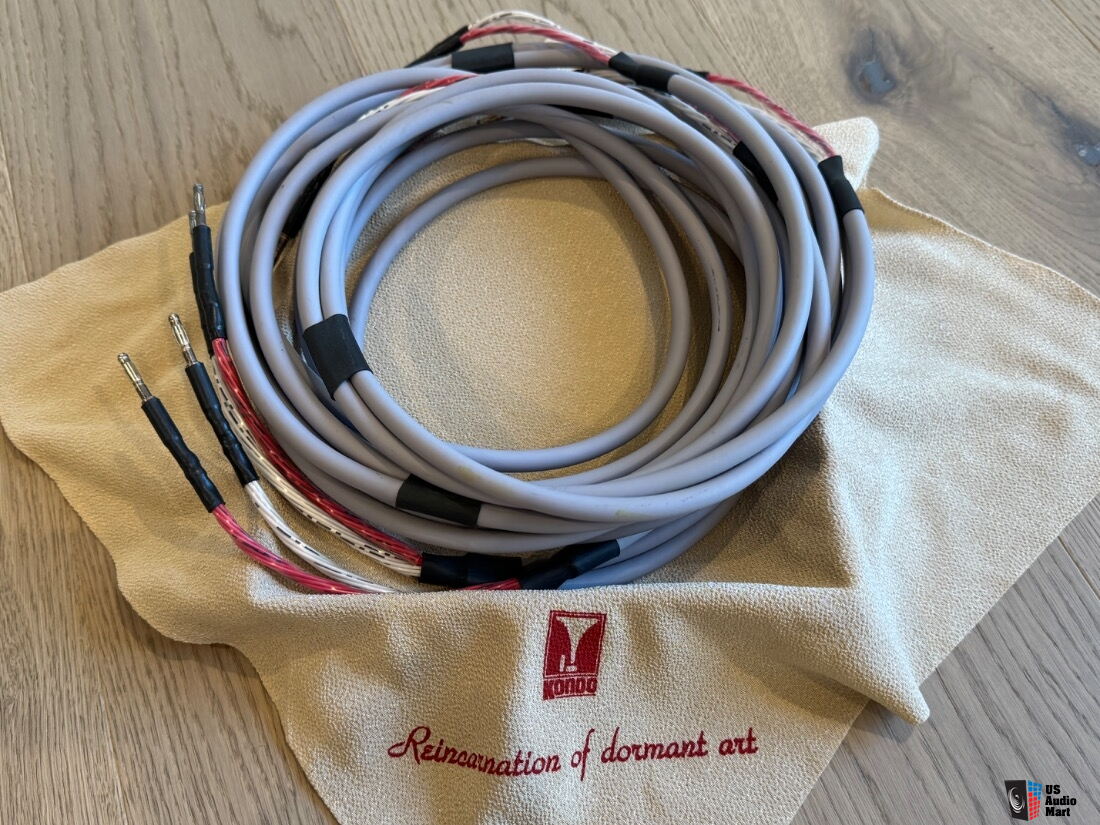 Kondo KSL-SPc 2.5m Bi-Wire speaker cables Photo #5803797 - US Audio Mart