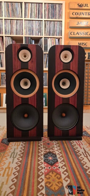 Custom Made, Lii-SONG Open Baffle Speakers Photo #5805463 - US Audio Mart