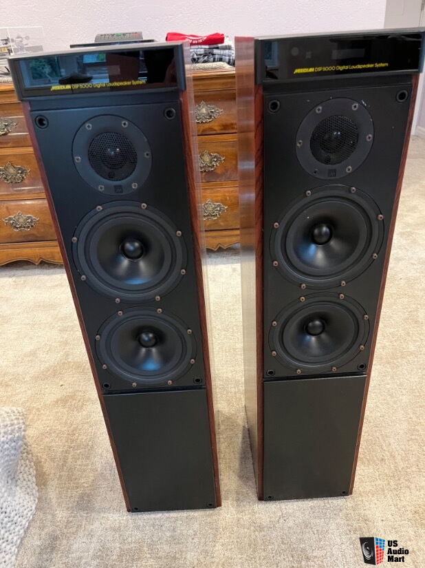 Rosewood Meridian DSP5000 speakers w/500 CD transport & MSR Photo ...