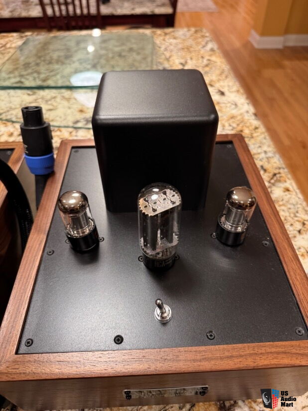 Aric Audio Custom Super MM / MC XLR Phono Pre Amp Photo #5819132 - US ...