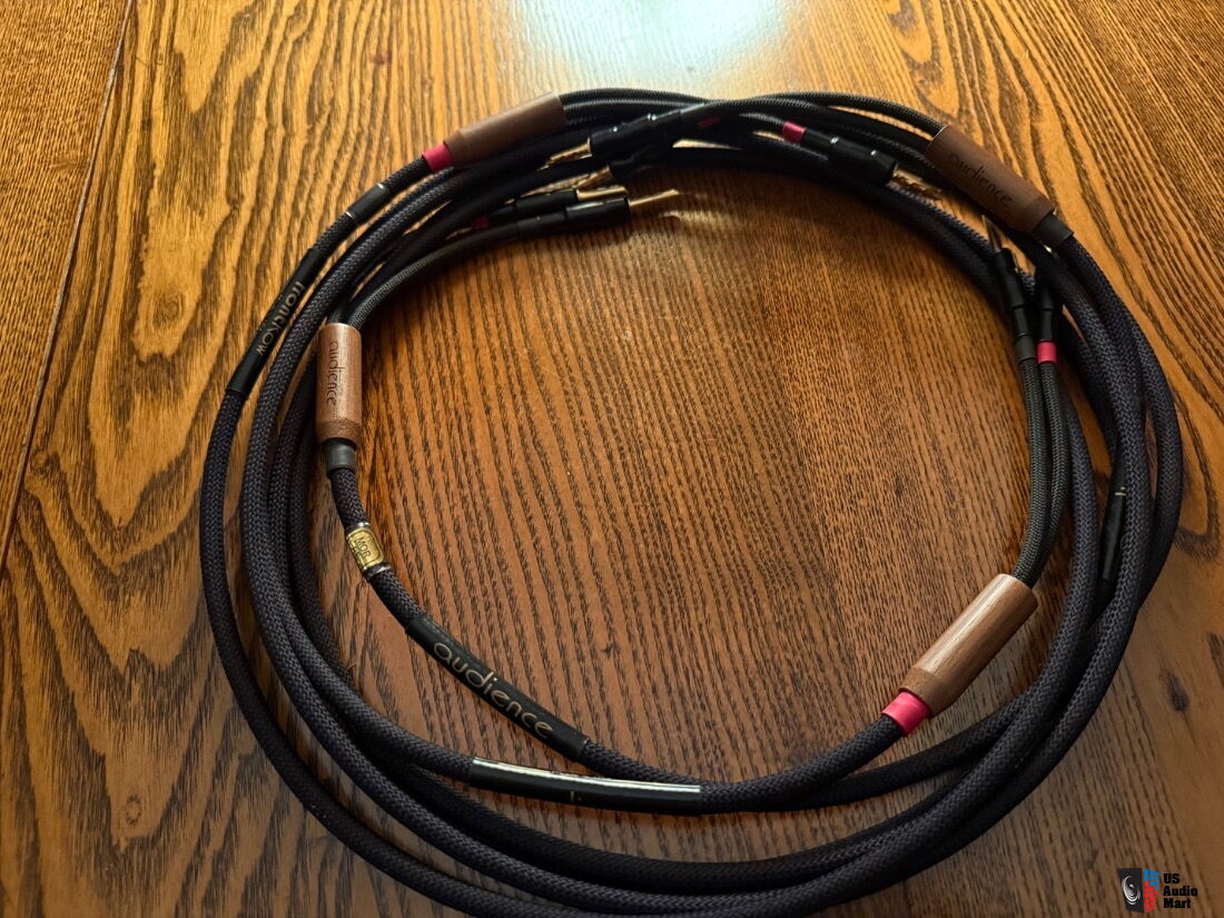 Audience Front Row speaker cables 2.5m For Sale - US Audio Mart
