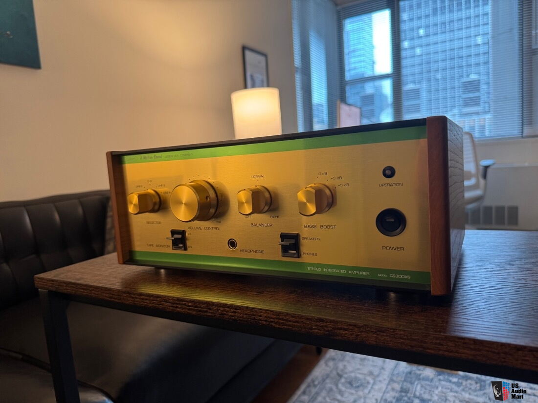 Leben CS300XS Photo #5826652 - US Audio Mart